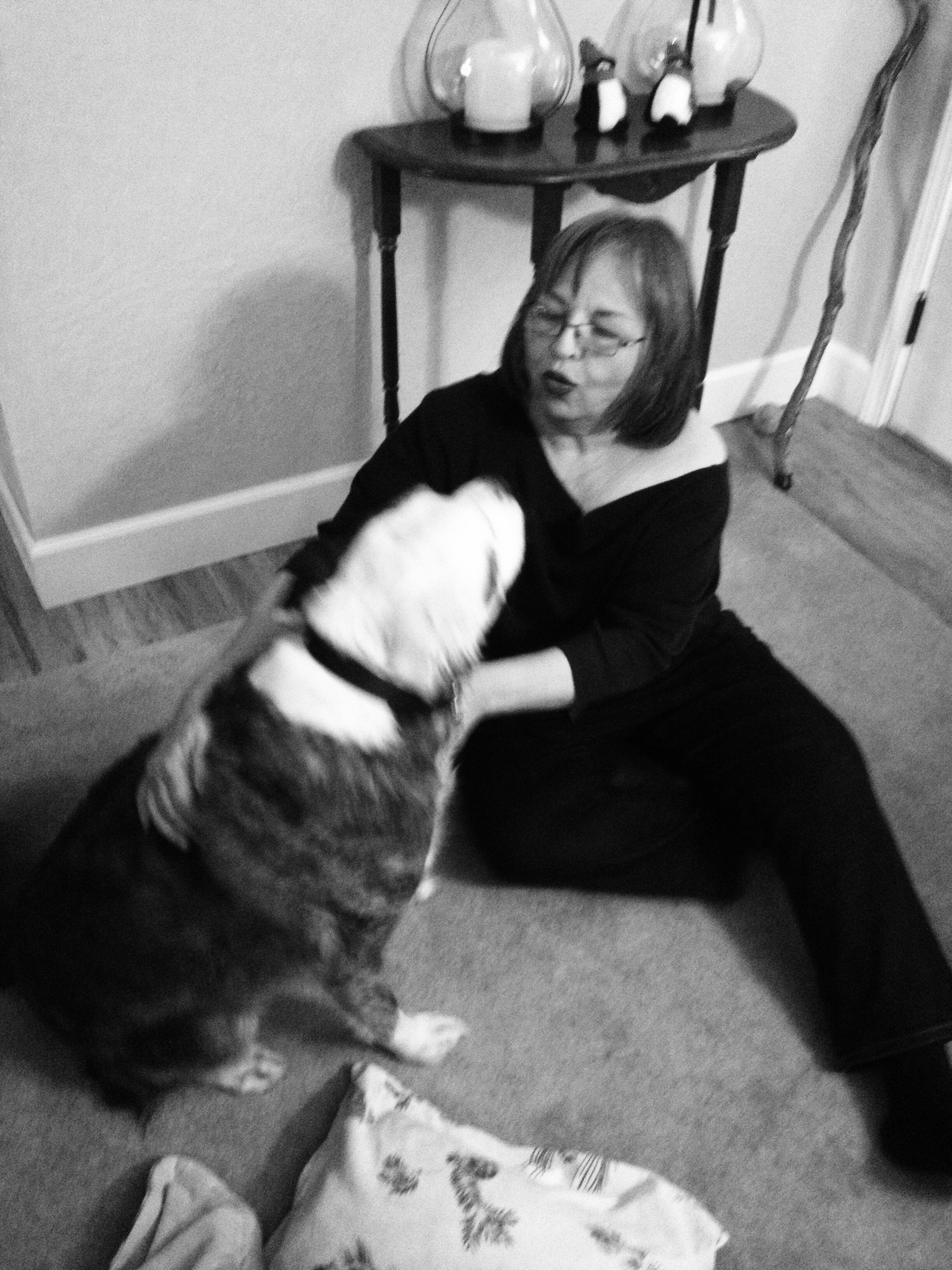 sweet dawg “Baby”/r.i.p. – marshmallow trampoline sky